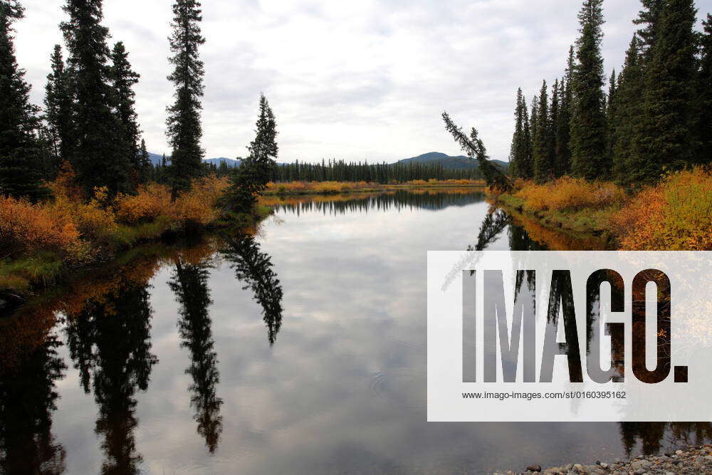 Water reflections in Northern British Columbia , 2011145, water, reflections, shadows, fallen