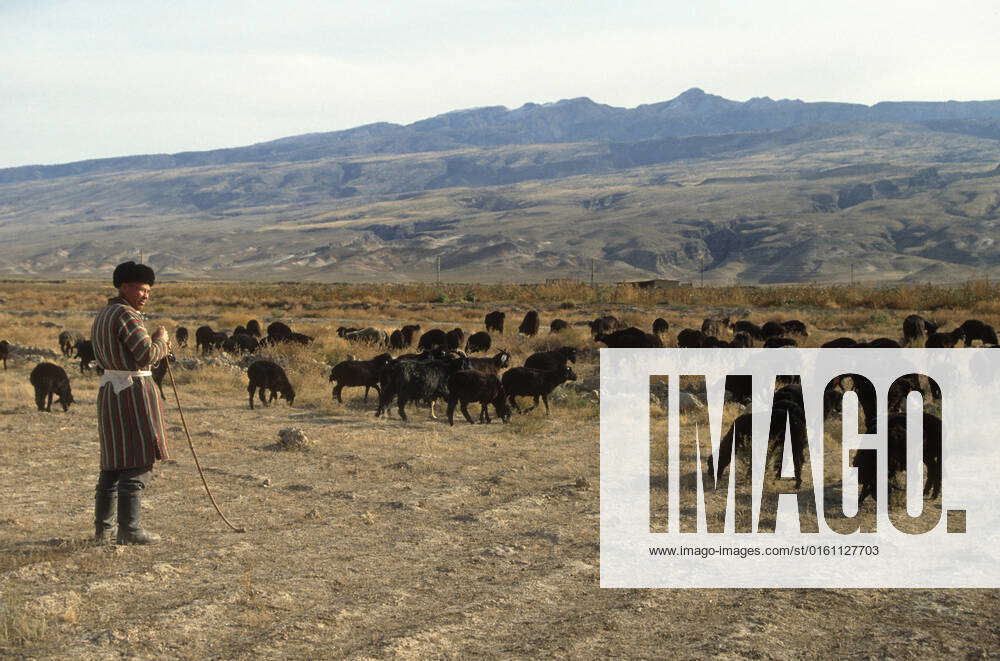 Shepherd with his sheep in the Kugitang valley, Turkmenistan