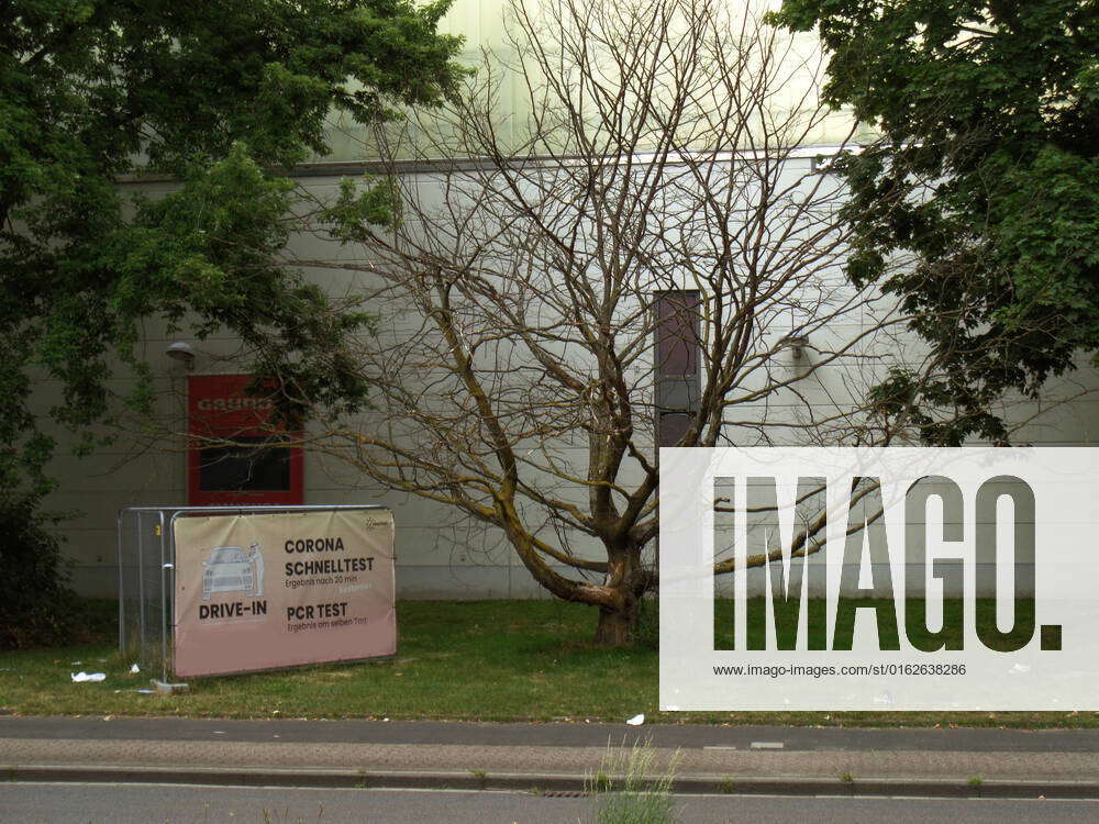 This tree has his vaccination date hopelessly overdue there helps no ...