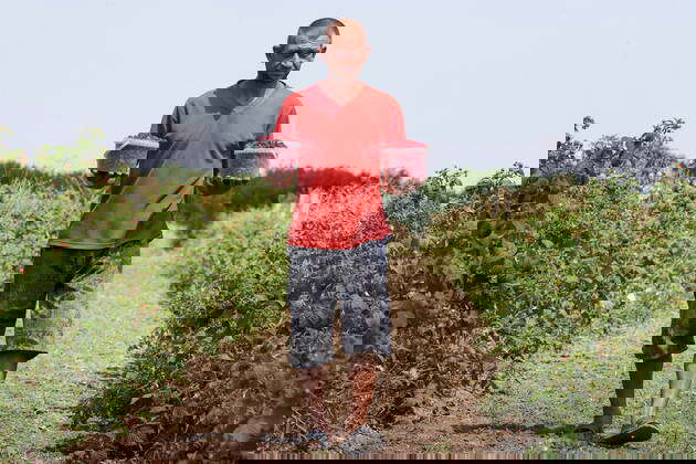 CRIMEA, RUSSIA – : A man carries containers with picked raspberries in ...