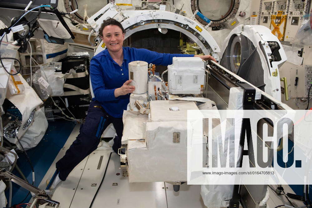 Iss056e161171 - NASA astronaut Serena Aunon-Chancellor works inside ...