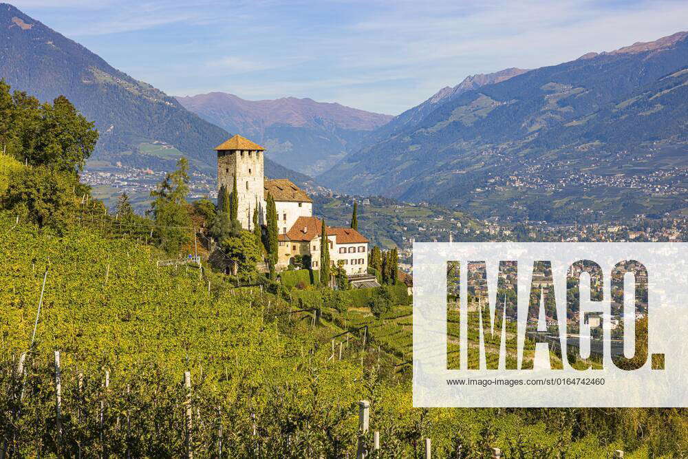 Castle Lebenberg via vineyards, at the back the Spa town Merano, near ...