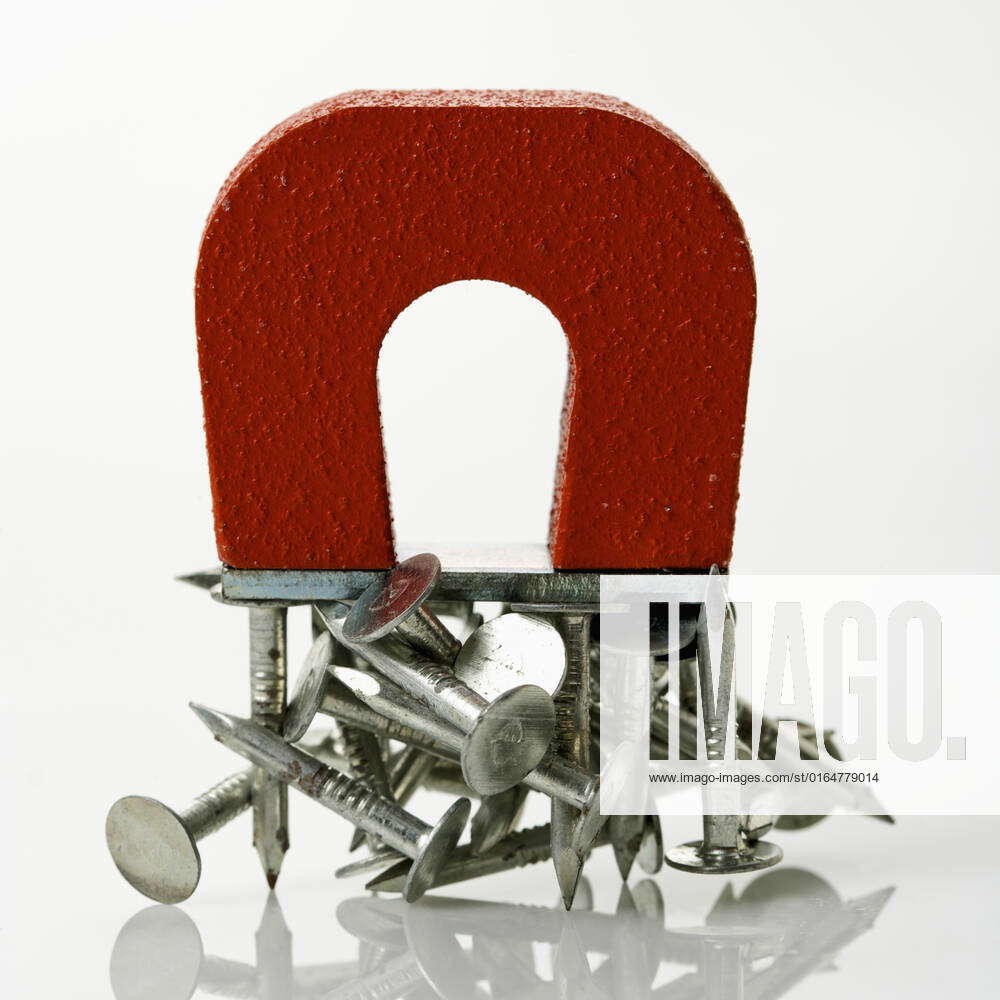 Red magnet holding metal nails on white background. Y