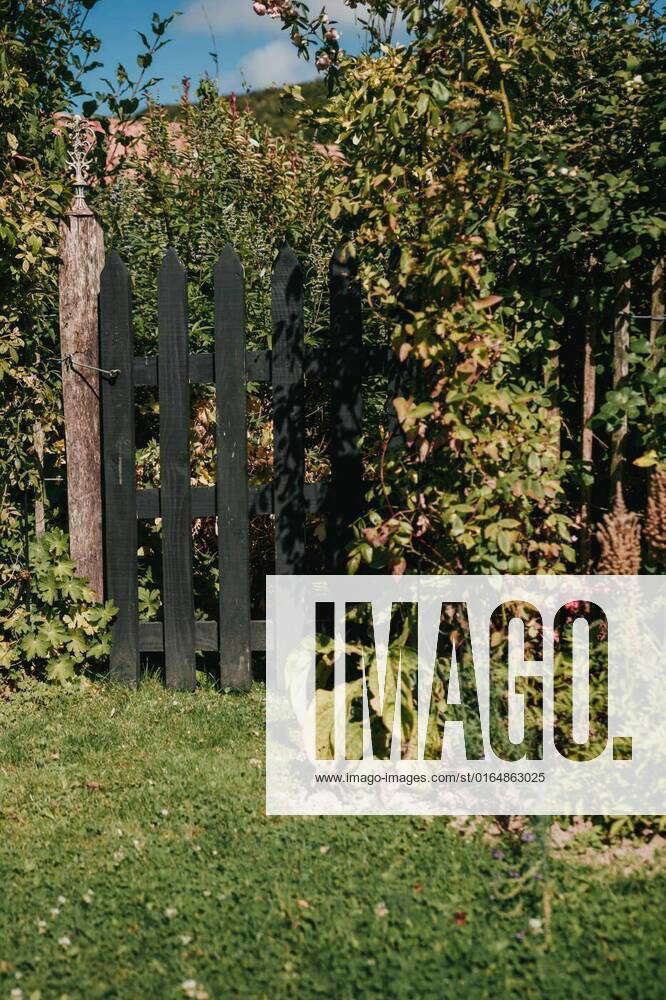 Small black wooden gate in the garden, Small black wooden gate in the ...