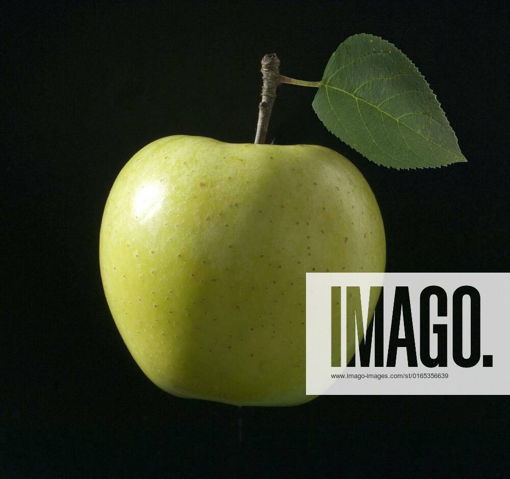 Golden Delicius, Apfel, Golden Delicius, Apfel