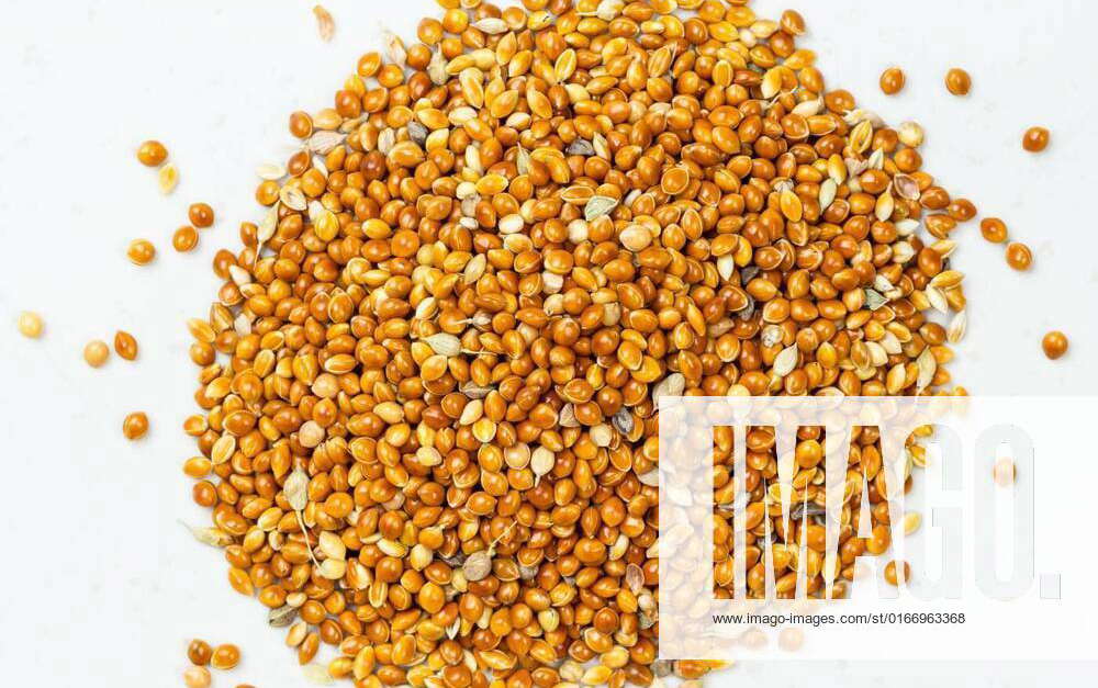 Pile of unhulled proso millet close up on gray, top view of pile of ...