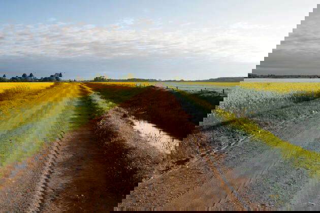 Rural road in eastern Colorado prairie in springtime, Pawnee National ...