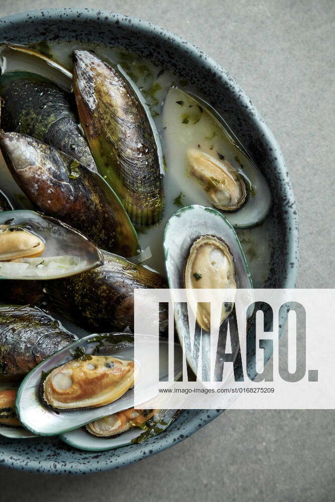 Kiwi mussels cooked in marinier sauce with white wine and parsley Kiwi ...