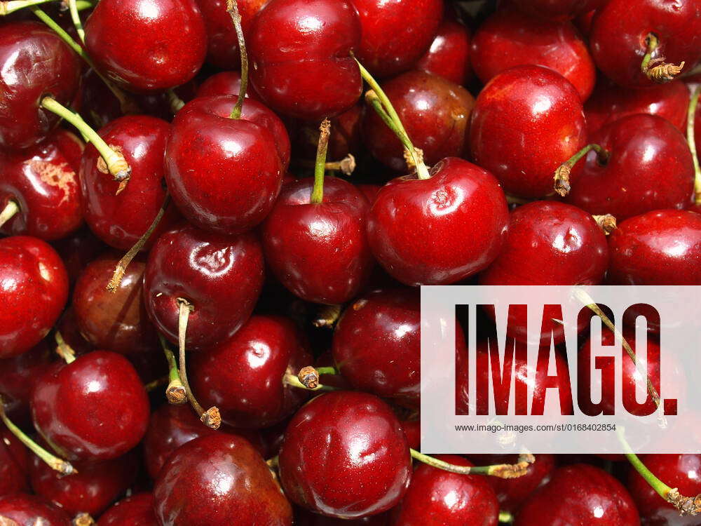 Red cherry fruit healthy - useful as a background, 6034304, cherry, red ...