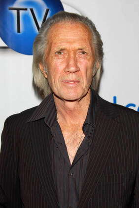 David Carradine at the Launch of AOL and Warner Bros. In2TV . The ...