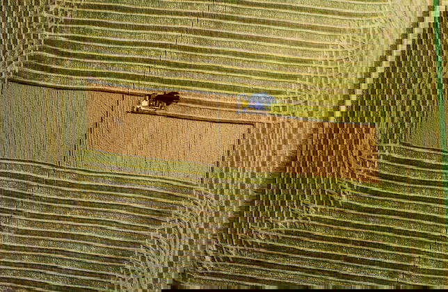 Drought In Northern Italy: The Surviving Rice Fields In Novara Rice ...