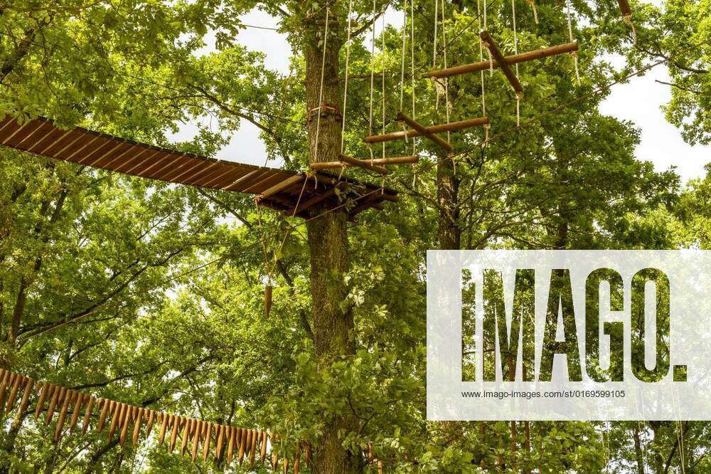 Rope park among the high trees, Suspension bridge, walkway stairway to ...