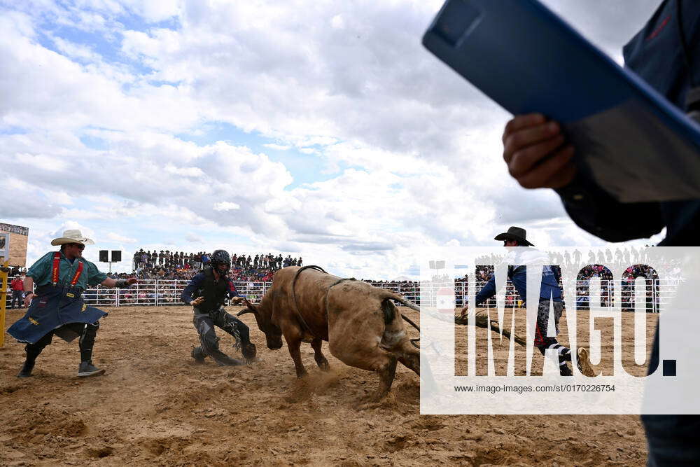 DENI UTE MUSTER 2022, Riders take part in the Deni Rodeo on day one of ...