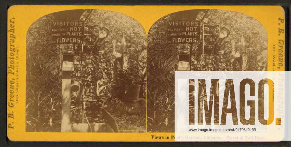 Marshal Neil Rose. Views in Pool s Garden, Chicago. 1850 - 1930. still ...