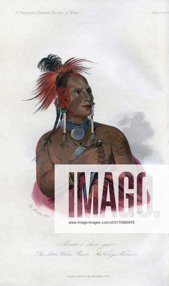 Meach-o-shin-gaw, The Little White Bear, A Konza Warrior, 1848. Native ...