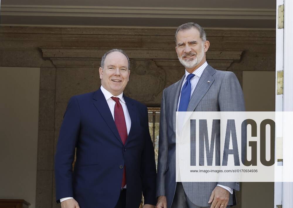 King Felipe VI of Spain receives Prince Albert II of Monaco. November