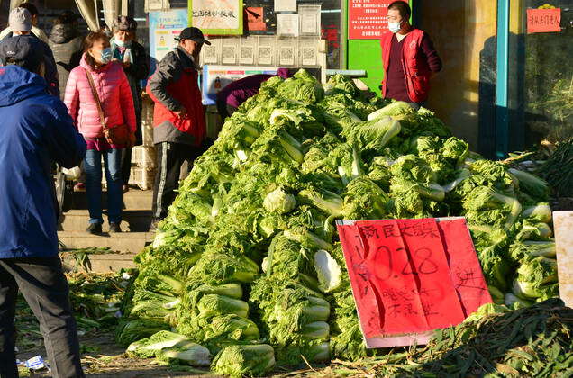 Chinese cabbages pile up like a mountain, and the selling price drops ...