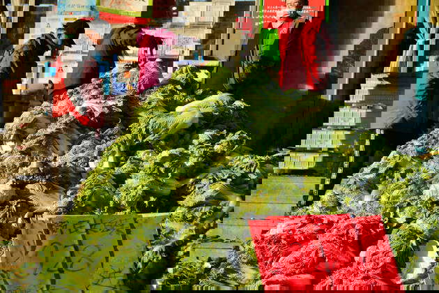 Chinese cabbages pile up like a mountain, and the selling price drops ...