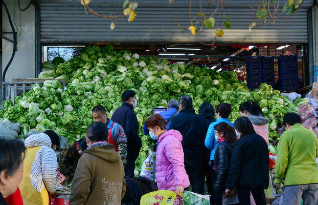 Chinese cabbages pile up like a mountain, and the selling price drops ...
