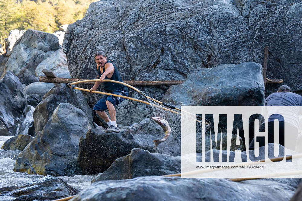 : Ron Reed, of the Karuk Tribe, pulls a salmon out of the Klamath River ...