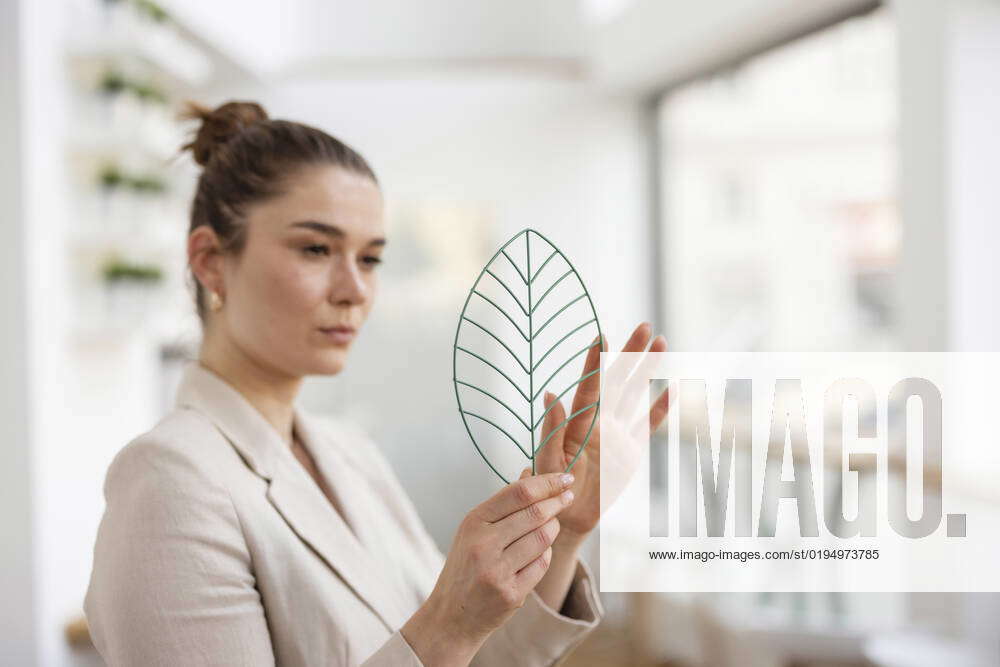 Businesswoman analyzing leaf shape model in office model released ...