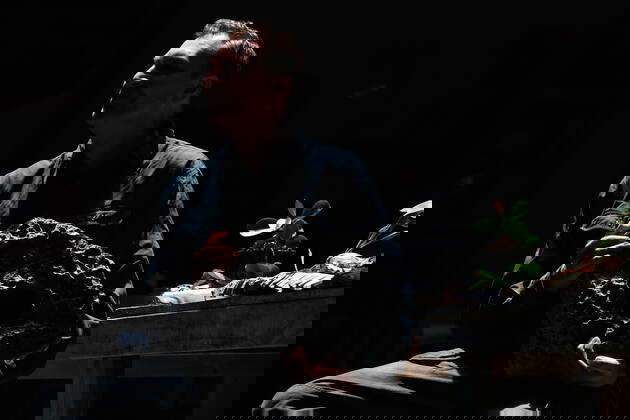 JAMIE NORTH CONCRETE SCULPTURES, Artist Jamie North poses for a ...