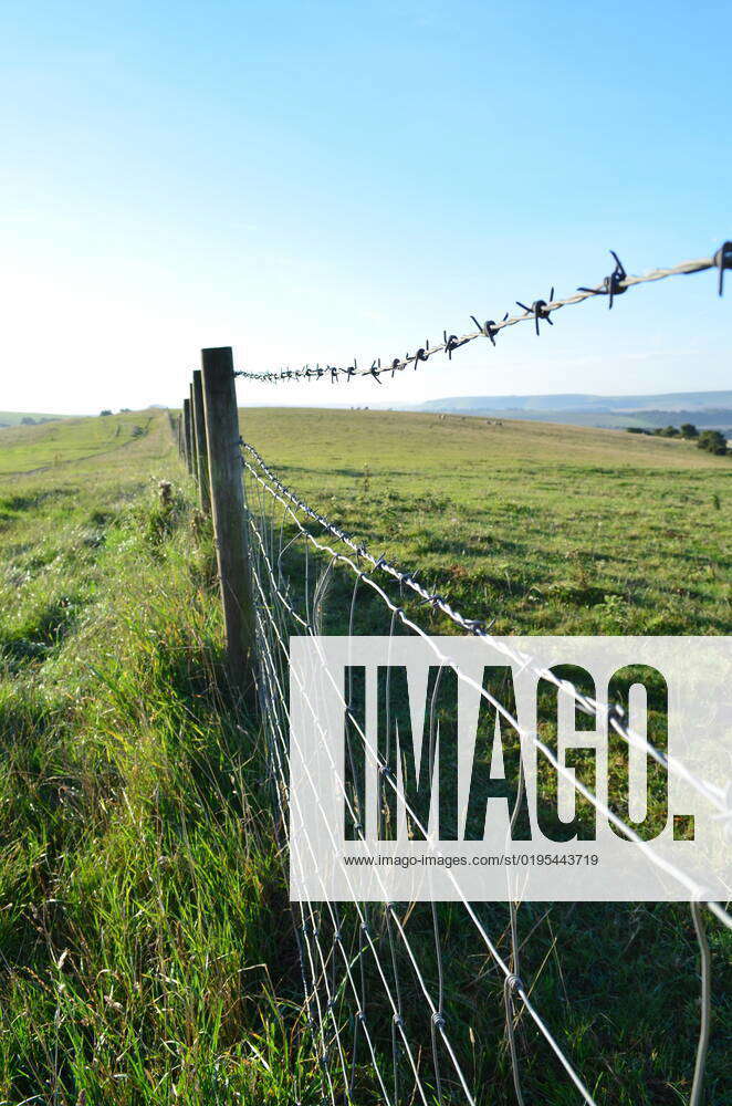Wooden posts with barbed wire running along open pasture fields ...