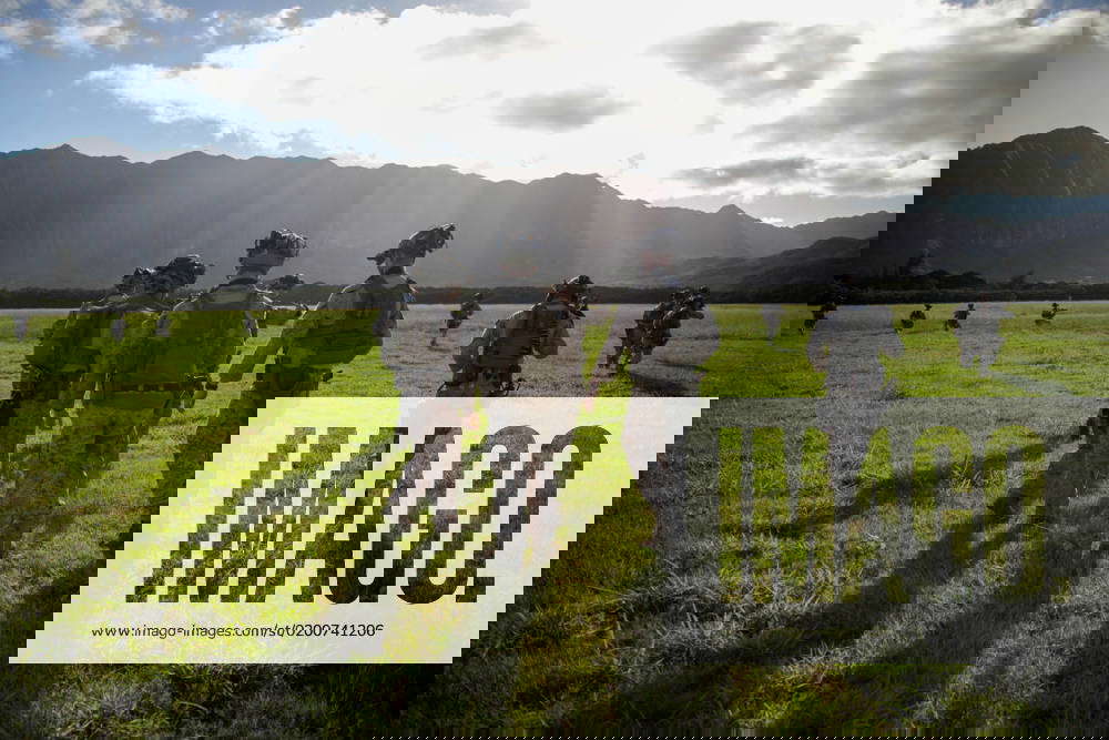 Marine Corps Base Hawaii, Hawaii, USA - with the 31st Marine ...