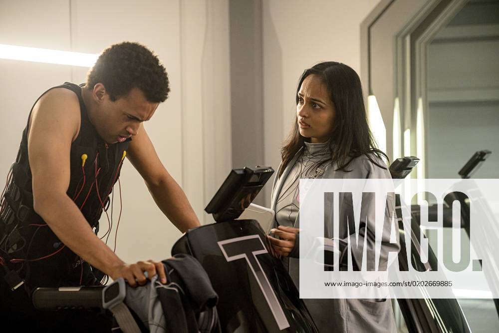 THE ARK, from left: Miles Barrow, Shalini Peiris, Everyone Wanted to Be ...