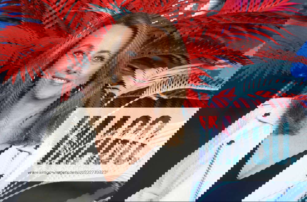 LOS ANGELES, CA - FEBRUARY 15: Julie DeJoie at the Red Carpet Premiere ...