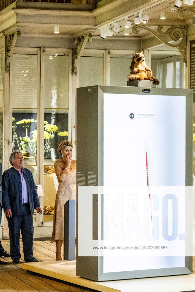 AMSTERDAM, 10 05 2022, ARTIS Groote Museum Queen Maxima during the ...