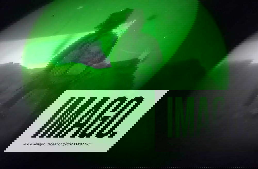 U.S.-backed Syrian Democratic Forces take part of the attack on the ...