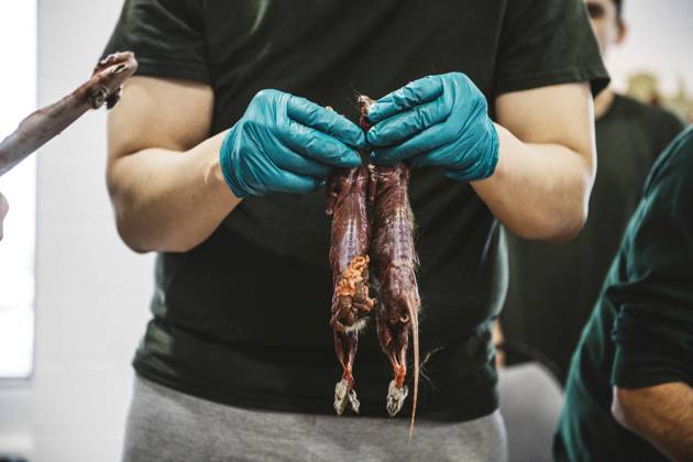 Yellowknife, NWT, CANADA: Inmates learn about trapping at the North ...