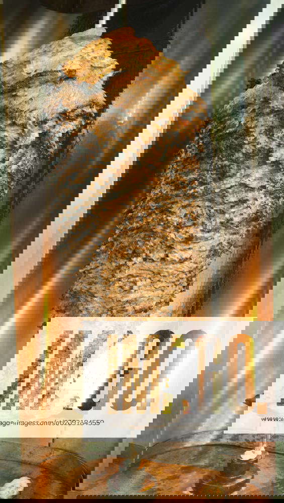 Large piece of beef kebab cooking on an open spit roast