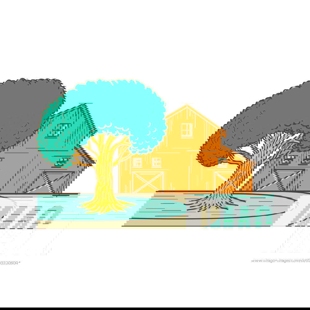 American Barn Oak Tree Mono Line Color Mono line illustration of an ...