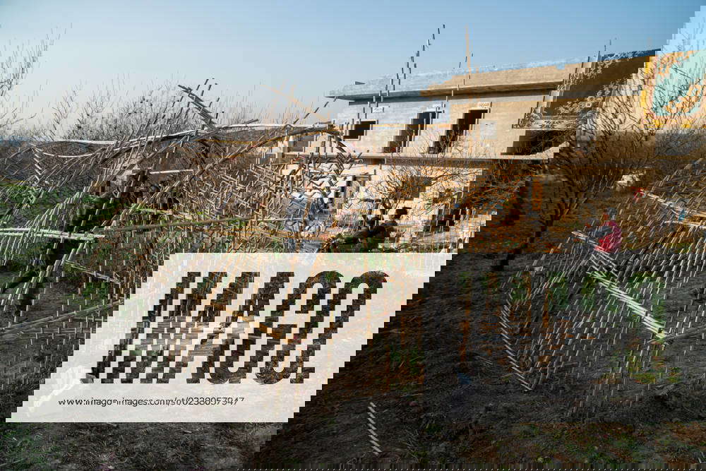 Syria, Idlib, fleeing homes after the earthquake. A man builds a tent ...