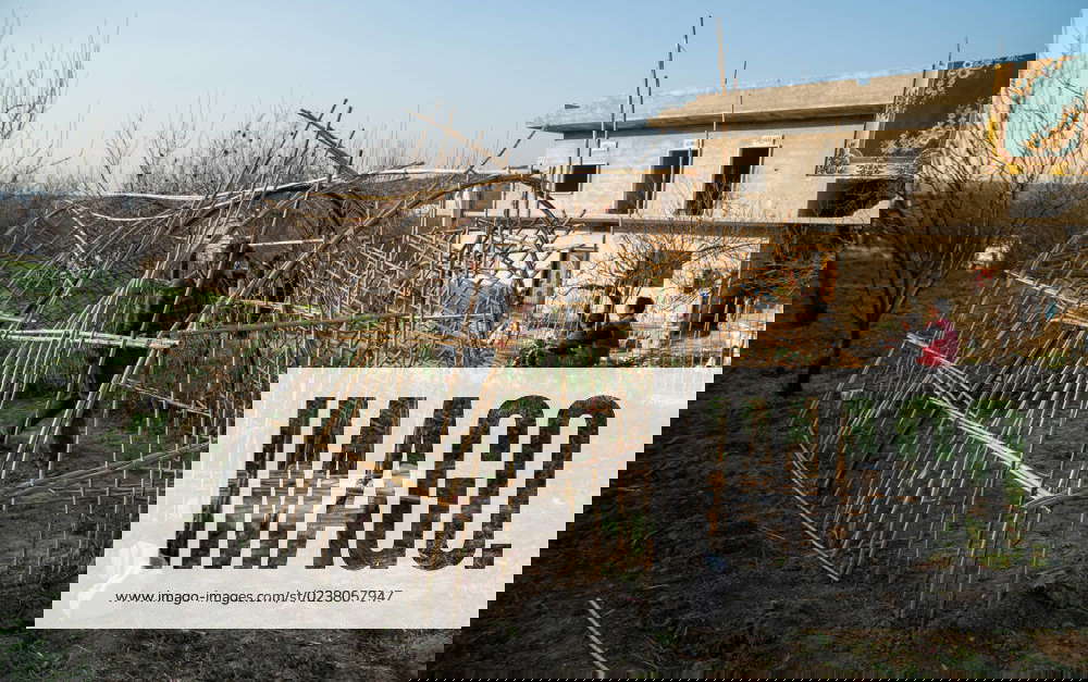 Syria, Idlib, fleeing homes after the earthquake. A man builds a tent ...