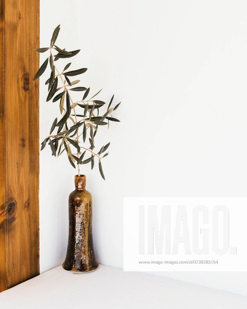 abstrakt minimaler Pflanze Ecke