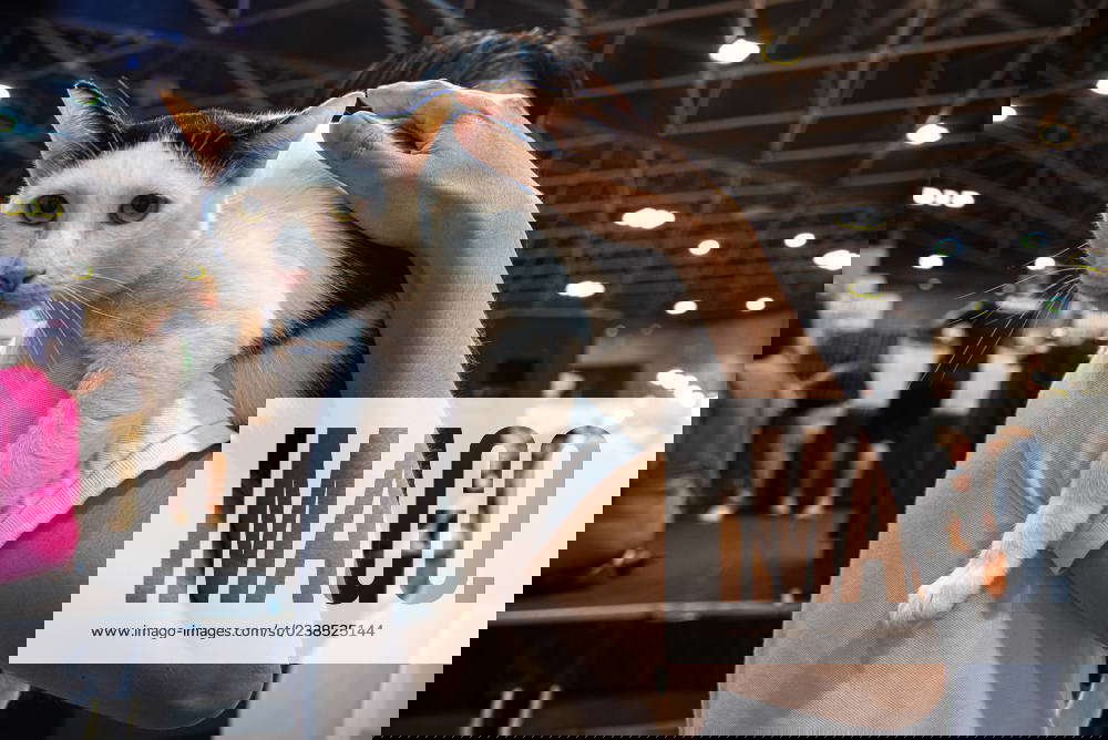 March 5, 2023, Bangkok, Thailand: An owner holds his cat during the ...