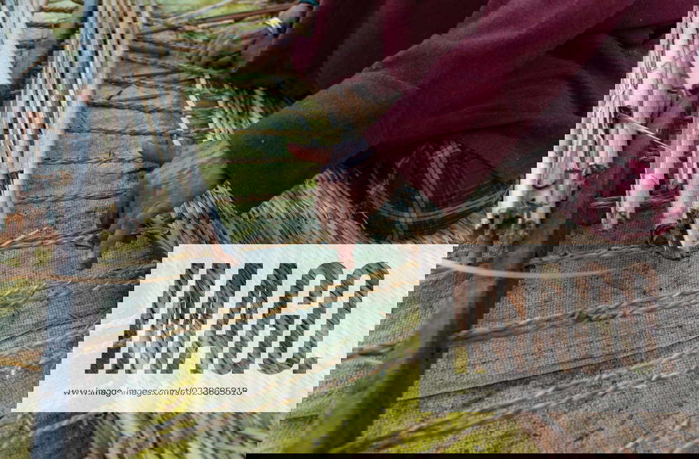 March 6, 2023, Srinagar, India: A woman artisan weaves reed and rice ...