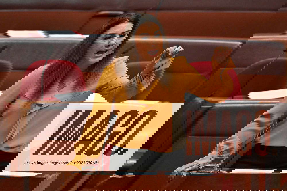 CLOSING THE GAP SENATOR STATEMENTS, Independent Senator Lidia Thorpe ...