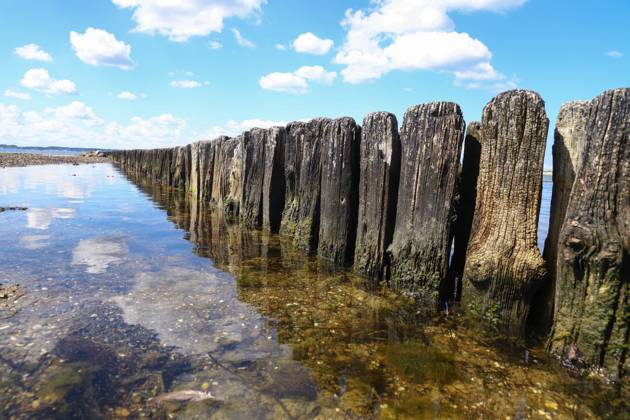 Groynes from piles on the beach