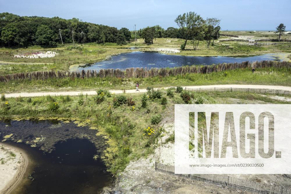 View via the Nature Park Zwin, Bird sanctuary at Knokke heist West ...