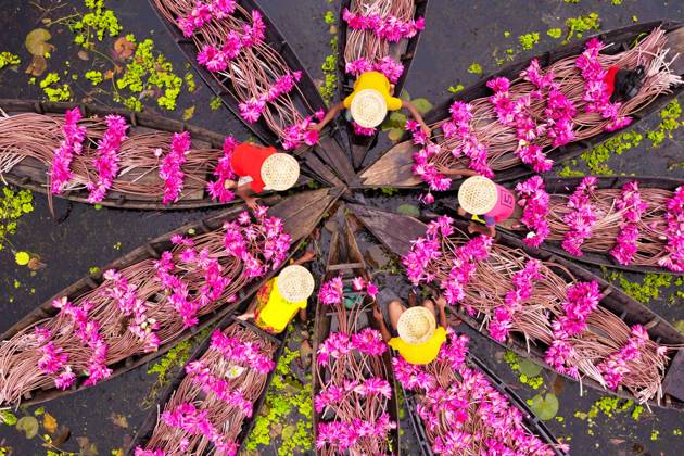 March 19, 2023, Barishal, Barishal, Bangladesh: Farmers arrange bunches ...