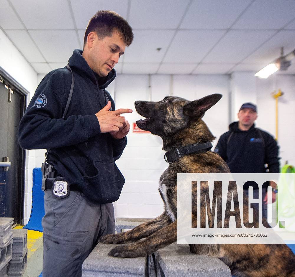 Syndication: Bucks County Courier Times Using cinder blocks, Warington ...