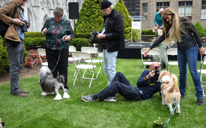 New York, NY, USA: the 147th Annual Westminster Kennel Club Dog Show ...