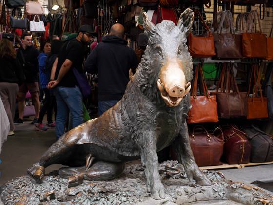 Florence landmarks The statue of Il Porcellino at the market in ...