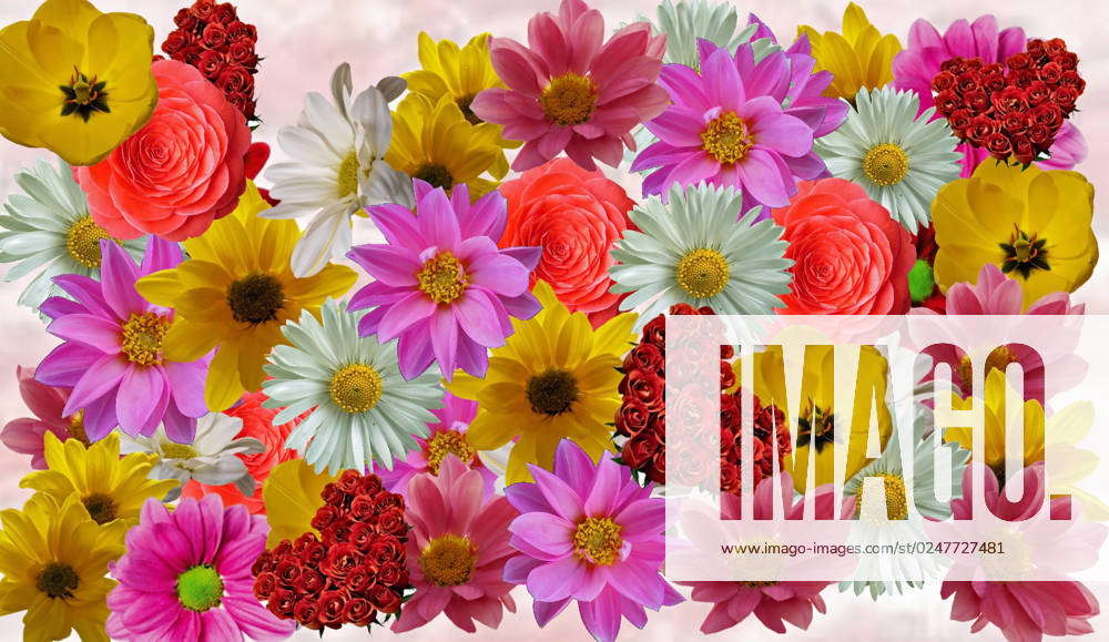Flower collage template for photo collages and scrapbook