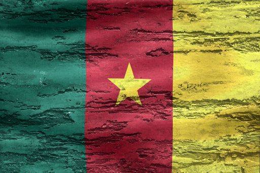 Cameroon flag - realistic waving fabric flag