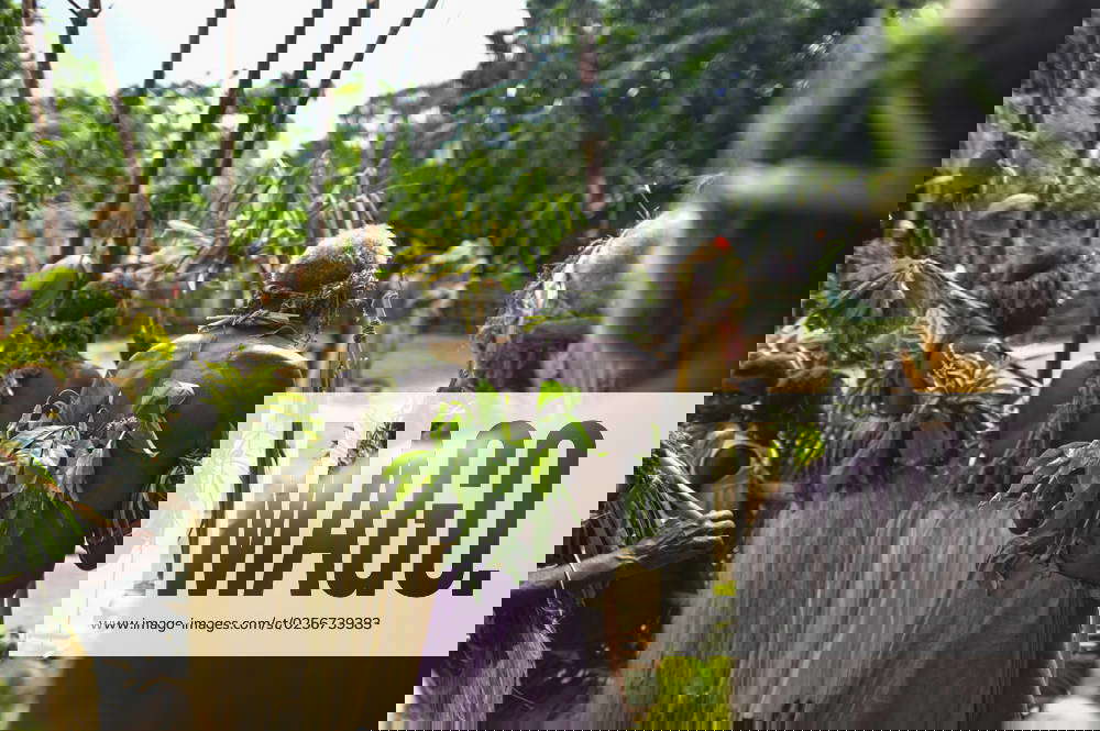 March 11, 2023, Utupua Island, Temotu Province, Solomon Islands: The ...